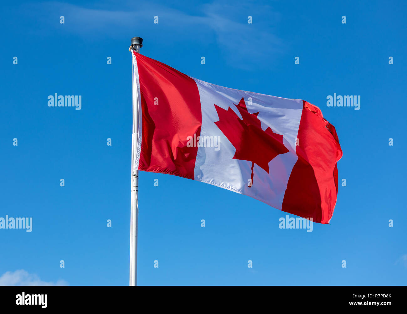 Canada flag wave isolated hi-res stock photography and images - Alamy