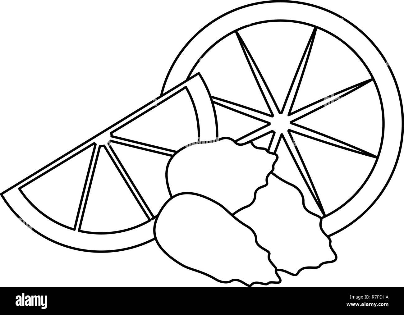 Lime fruit cut in Black and White Stock Photos & Images - Alamy