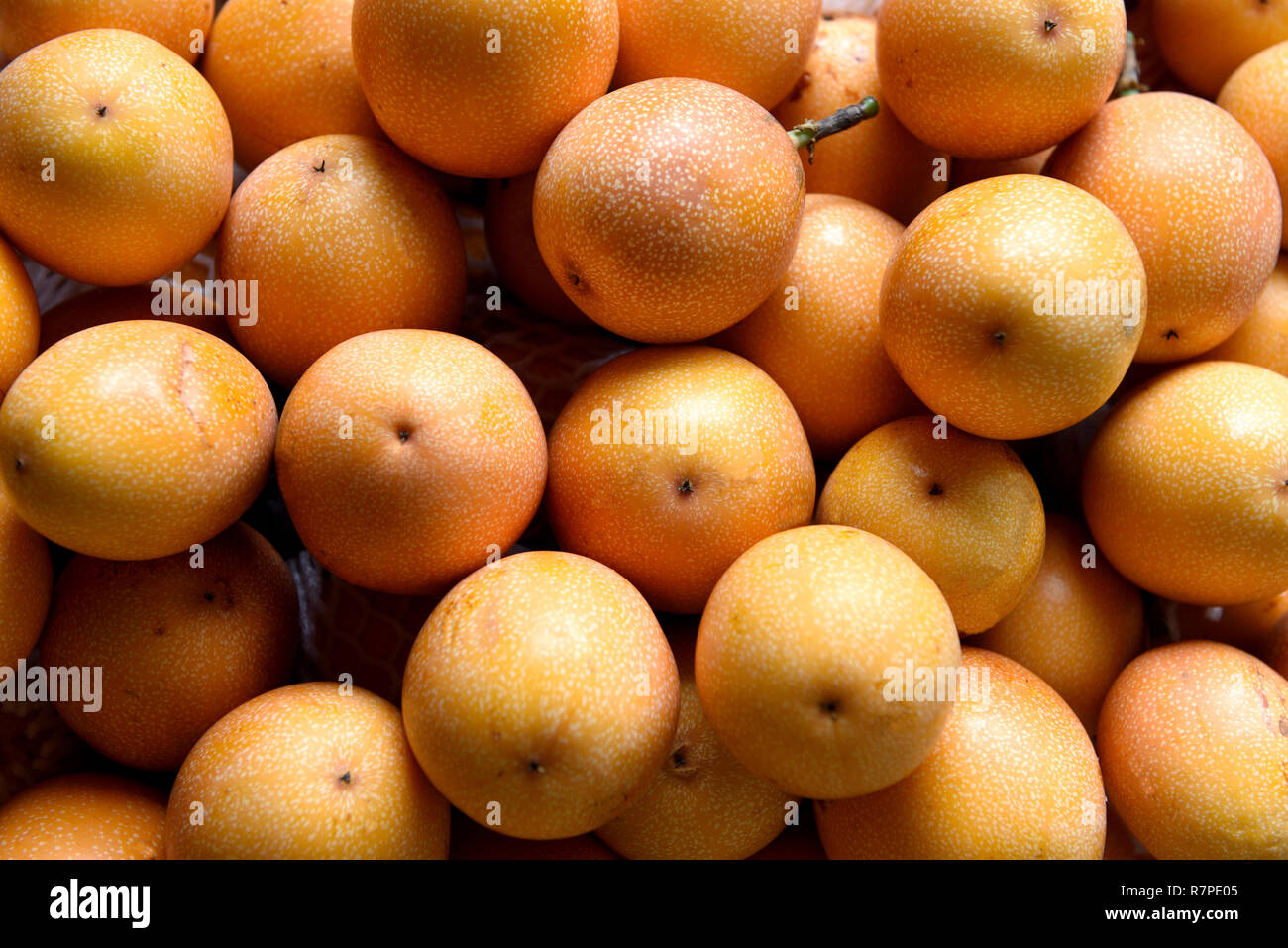Fresh sweet ripe Granadilla fruit, Passion fruit, or Passiflora ...