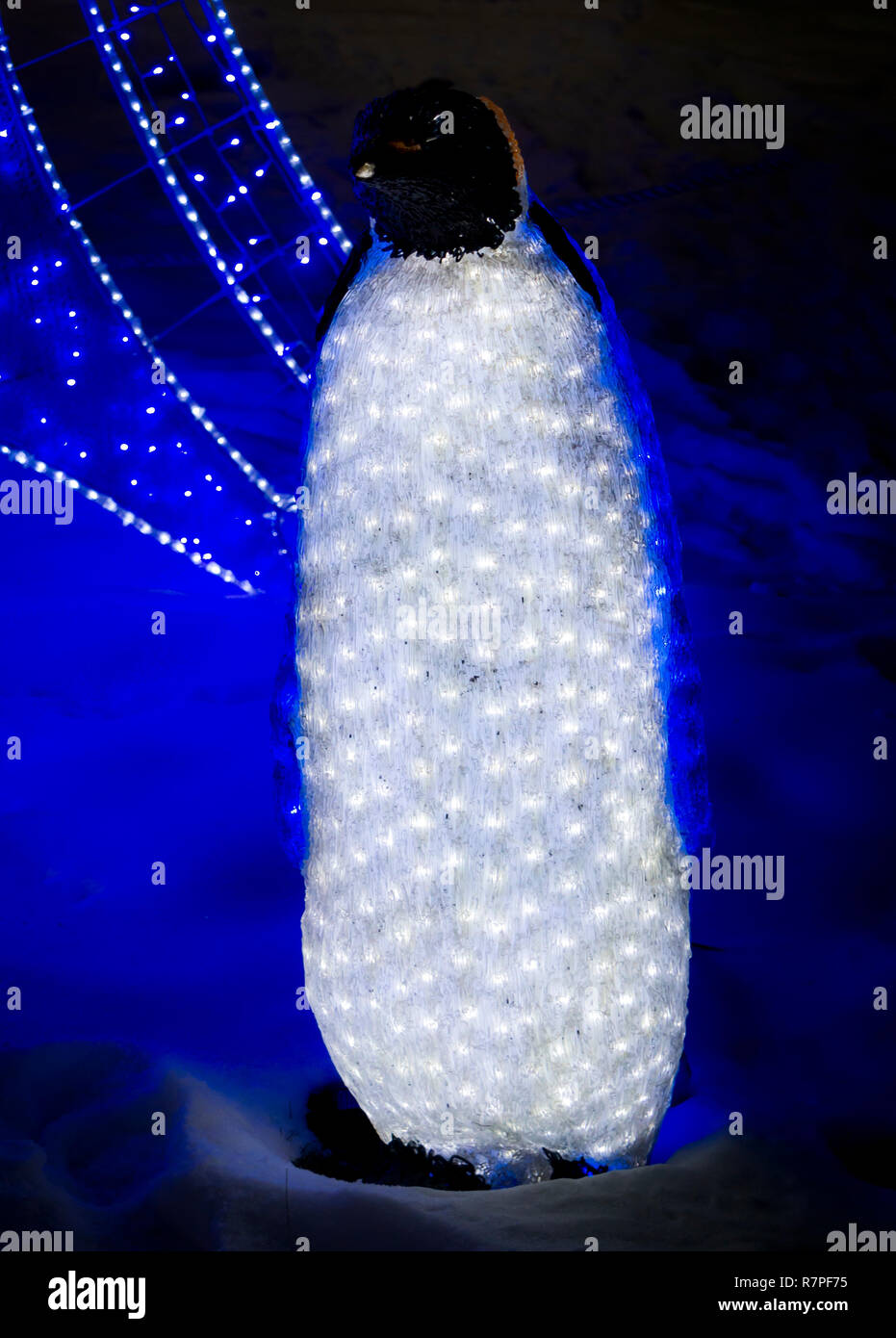 Calgary zoo lights hi-res stock photography and images - Alamy