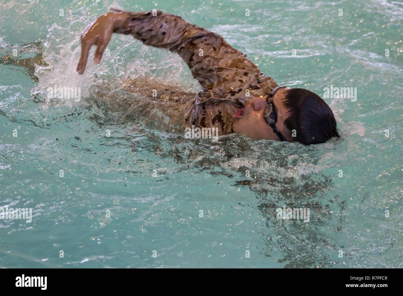 250 meter swim hi-res stock photography and images - Alamy