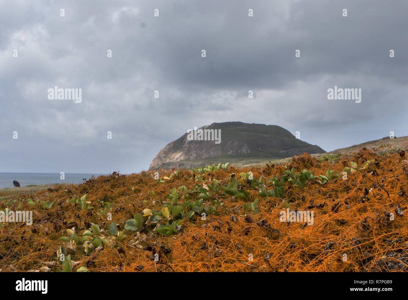 Mount Suribachi High Resolution Stock Photography and Images - Alamy