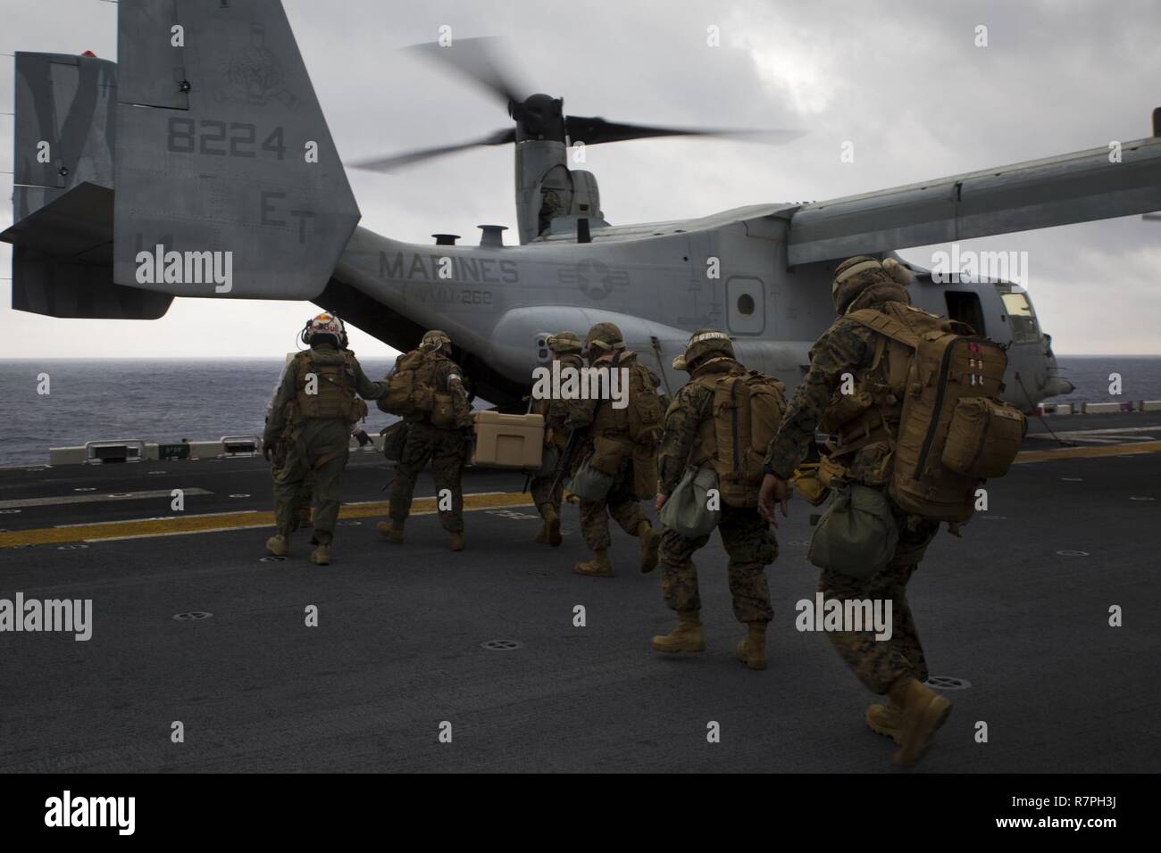 Marines with Combat Logistics Battalion 31, 31st Marine Expeditionary ...