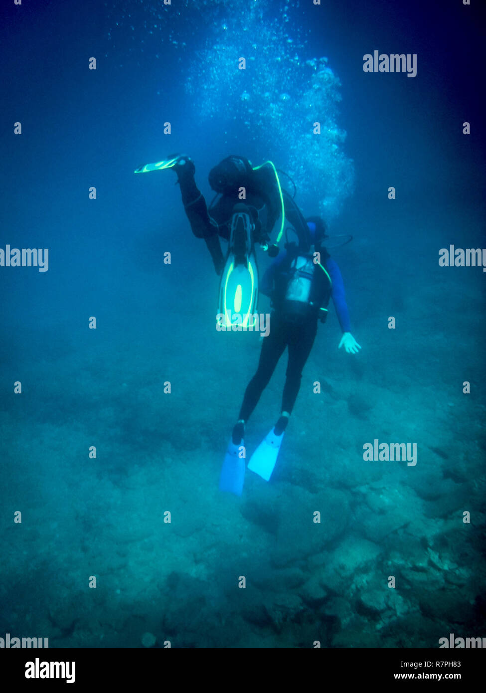 Scuba divers undersea Stock Photo - Alamy