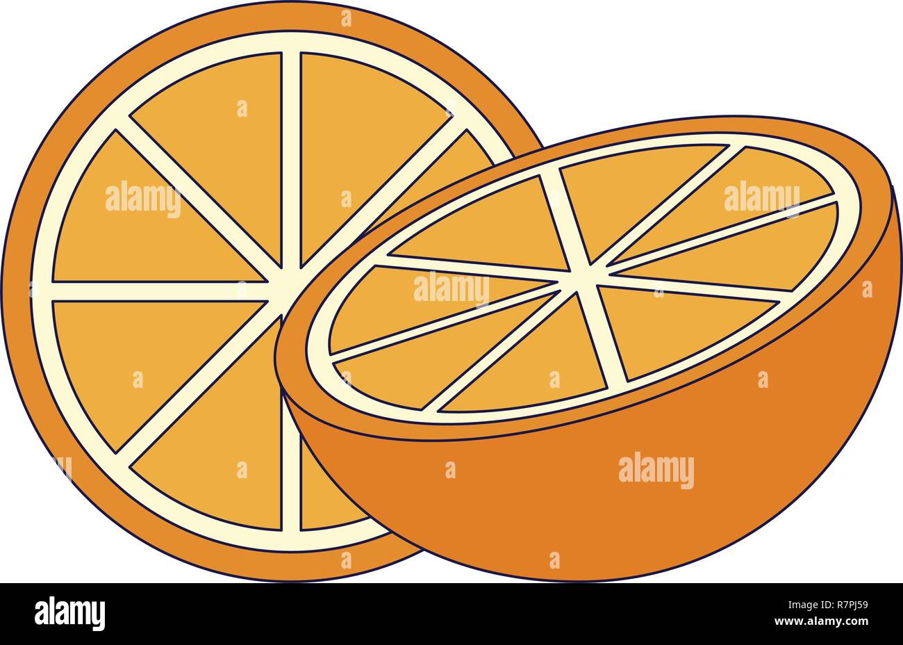 Orange fruit half cut Stock Vector Image & Art - Alamy