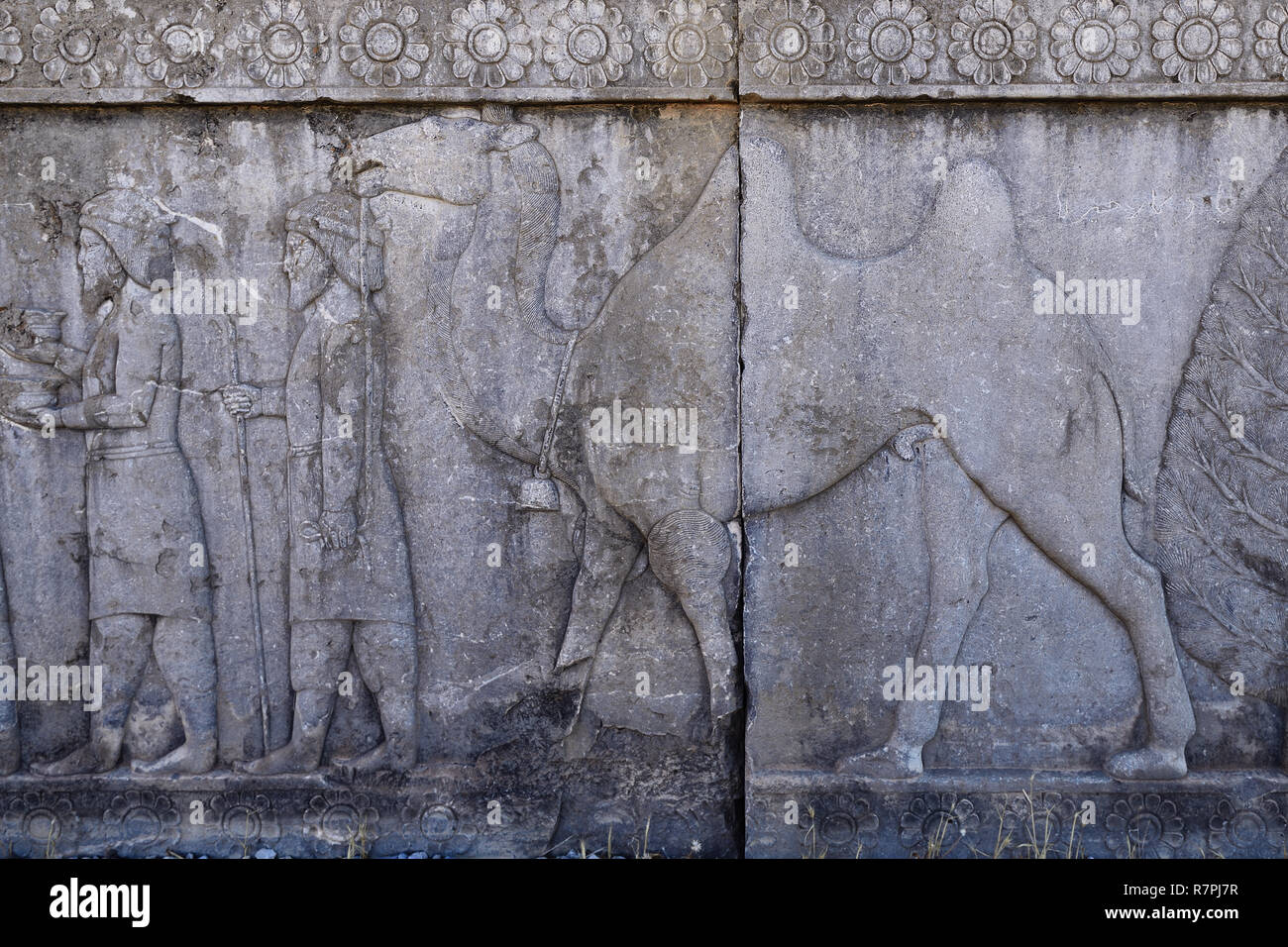 Iran, The beautiful reliefs in the ruins of Ancient Persepolis Complex ...