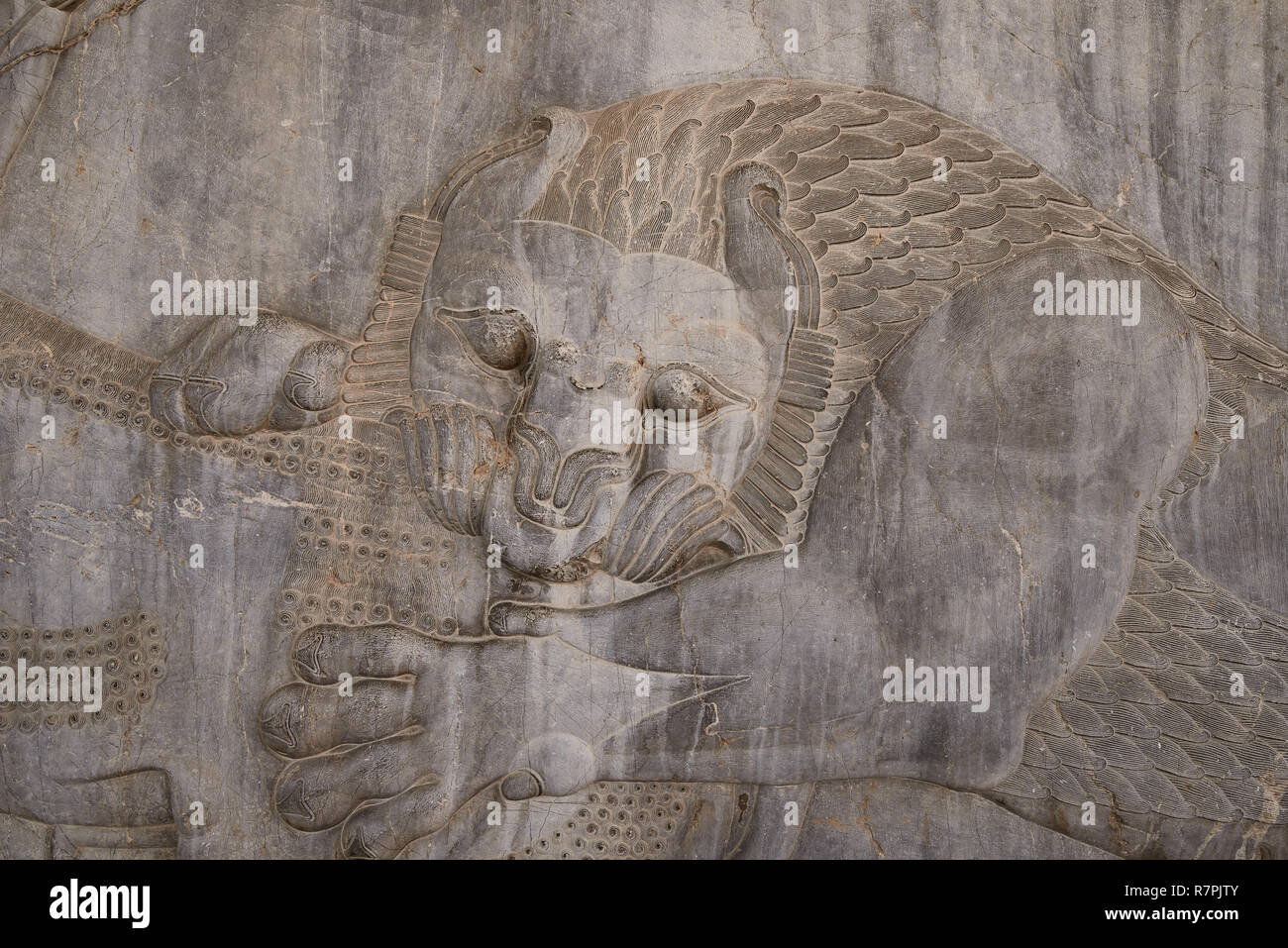 Iran, The beautiful reliefs in the ruins of Ancient Persepolis Complex ...