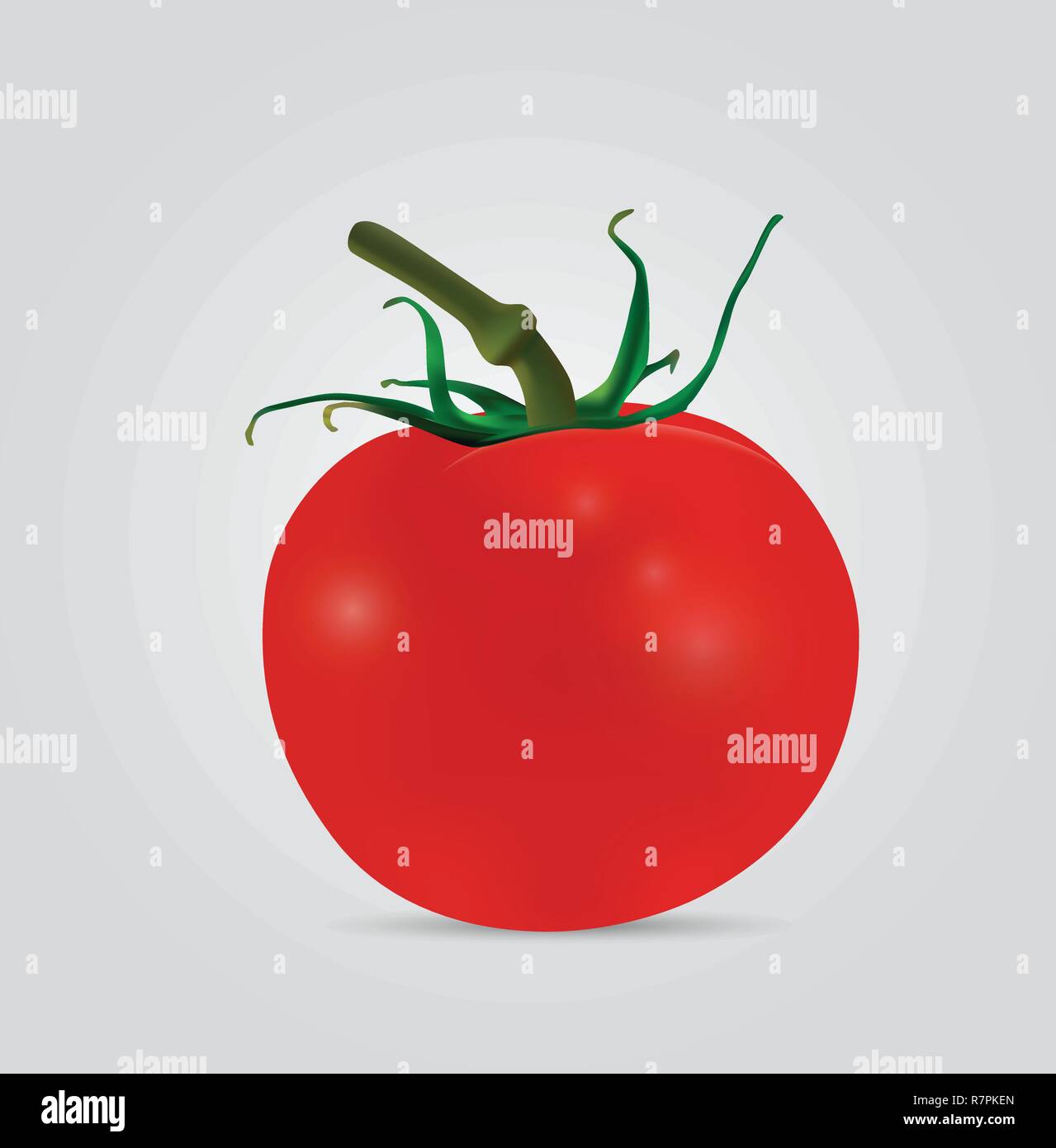 Tomato Farm Stock Vector Images Alamy