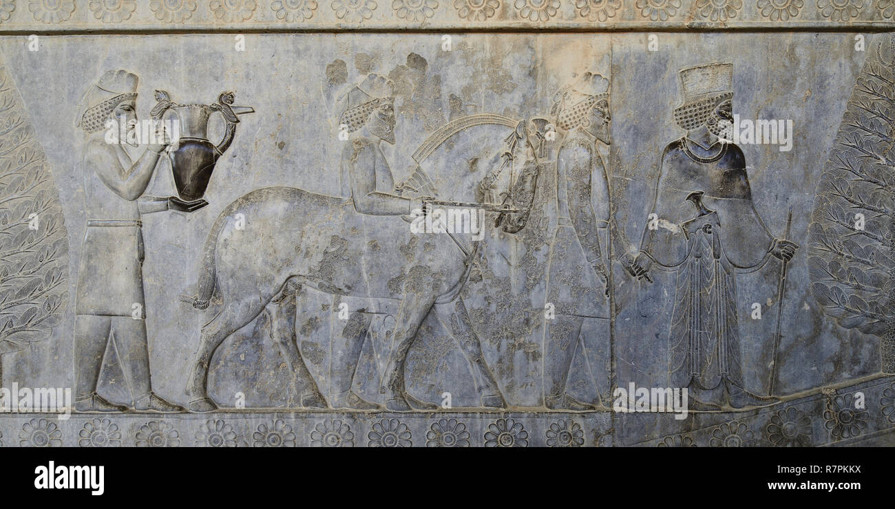 Iran, The beautiful reliefs in the ruins of Ancient Persepolis Complex ...