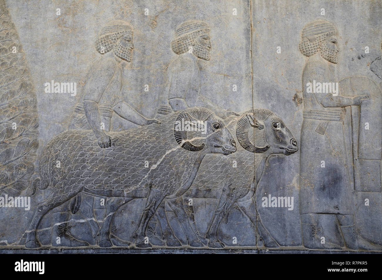 Iran, The beautiful reliefs in the ruins of Ancient Persepolis Complex ...