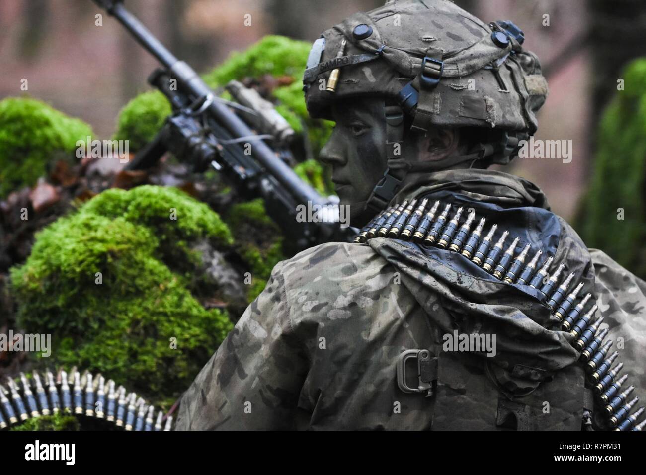 A US Army Paratrooper from Alpha Company, 1-503rd, 173rd Airborne ...