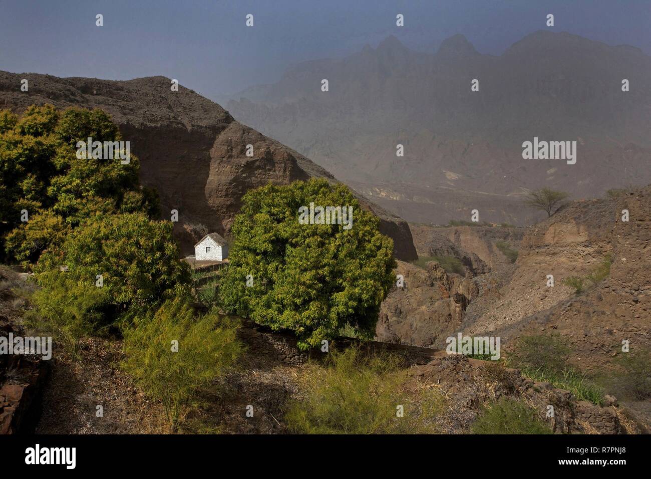 Mango house hi-res stock photography and images - Alamy