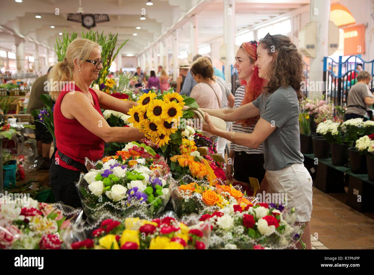 France, Alpes Maritimes, Cannes, Seller of flowers on Forville market ...