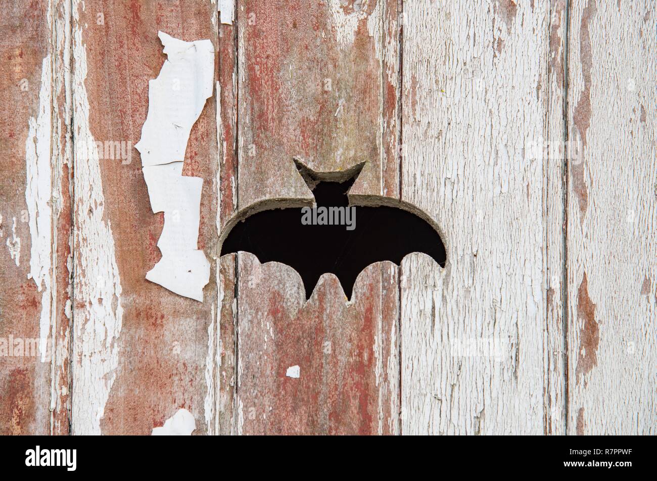 France, Yvelines, Montchauvet, favorite village of the french, Bat of ...