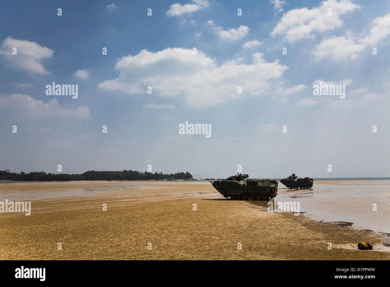 AAV-P7/A1 assault amphibious vehicles with Echo Co., Battalion Landing ...