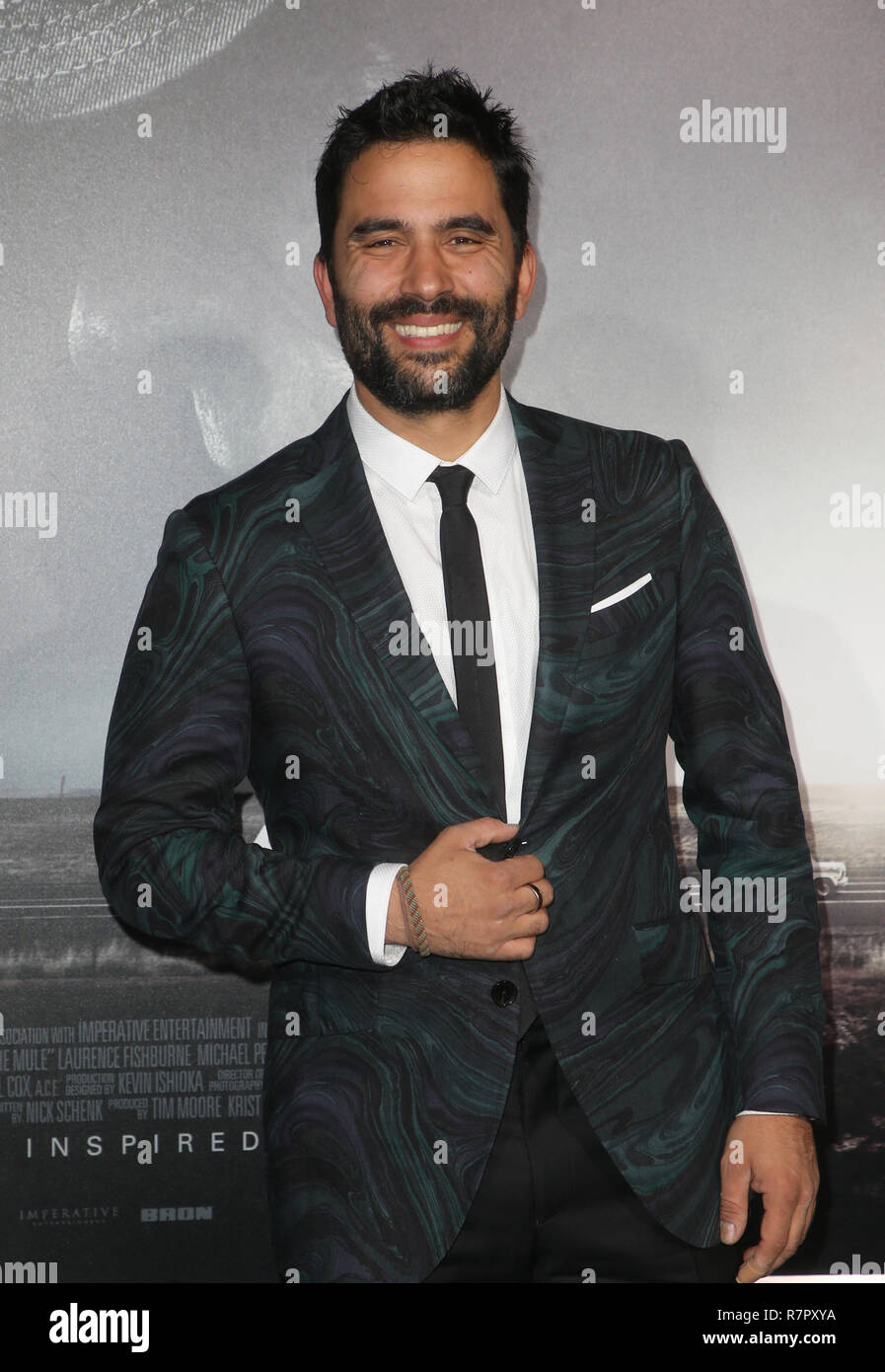 WESTWOOD, CA - DECEMBER 10: Ignacio Serricchio, at the world premiere ...