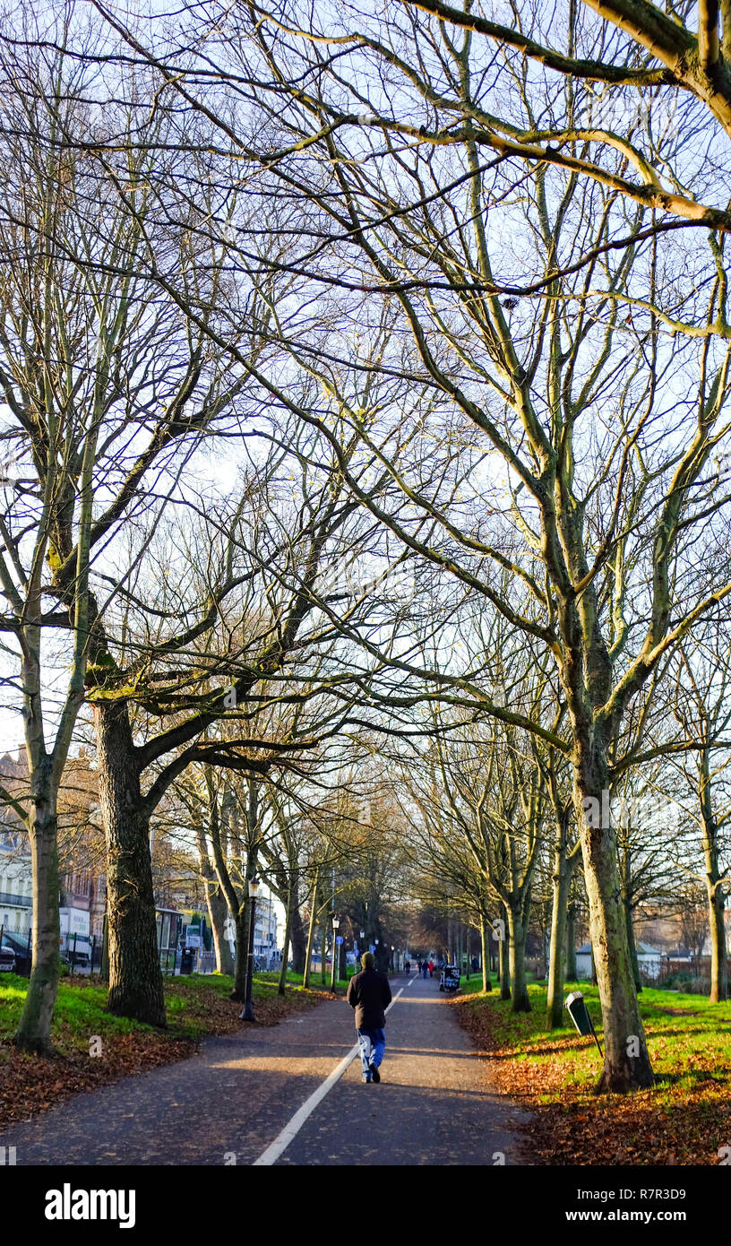 Brighton the level hi-res stock photography and images - Alamy