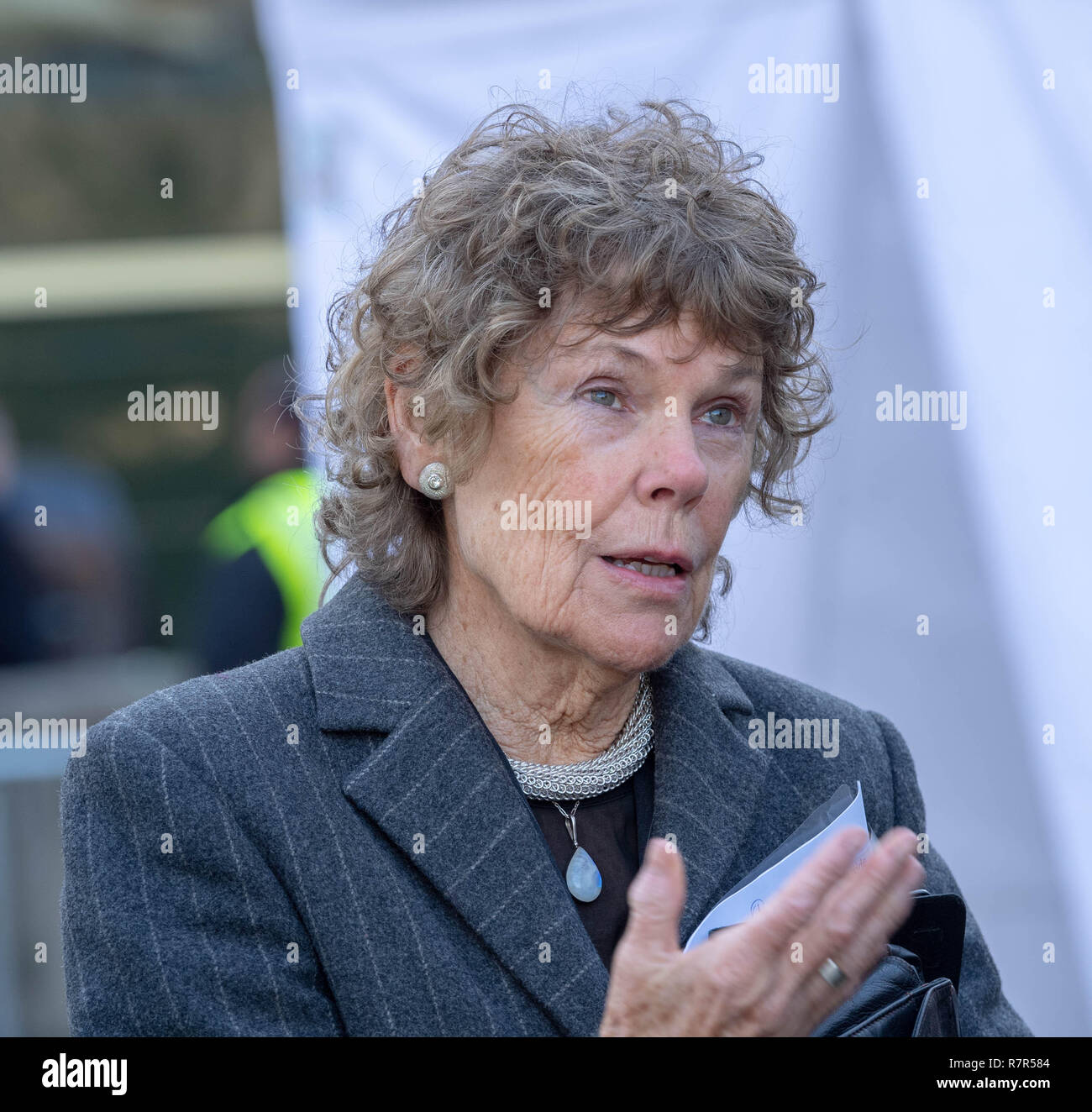 Labour mp kate hoey hi-res stock photography and images - Alamy