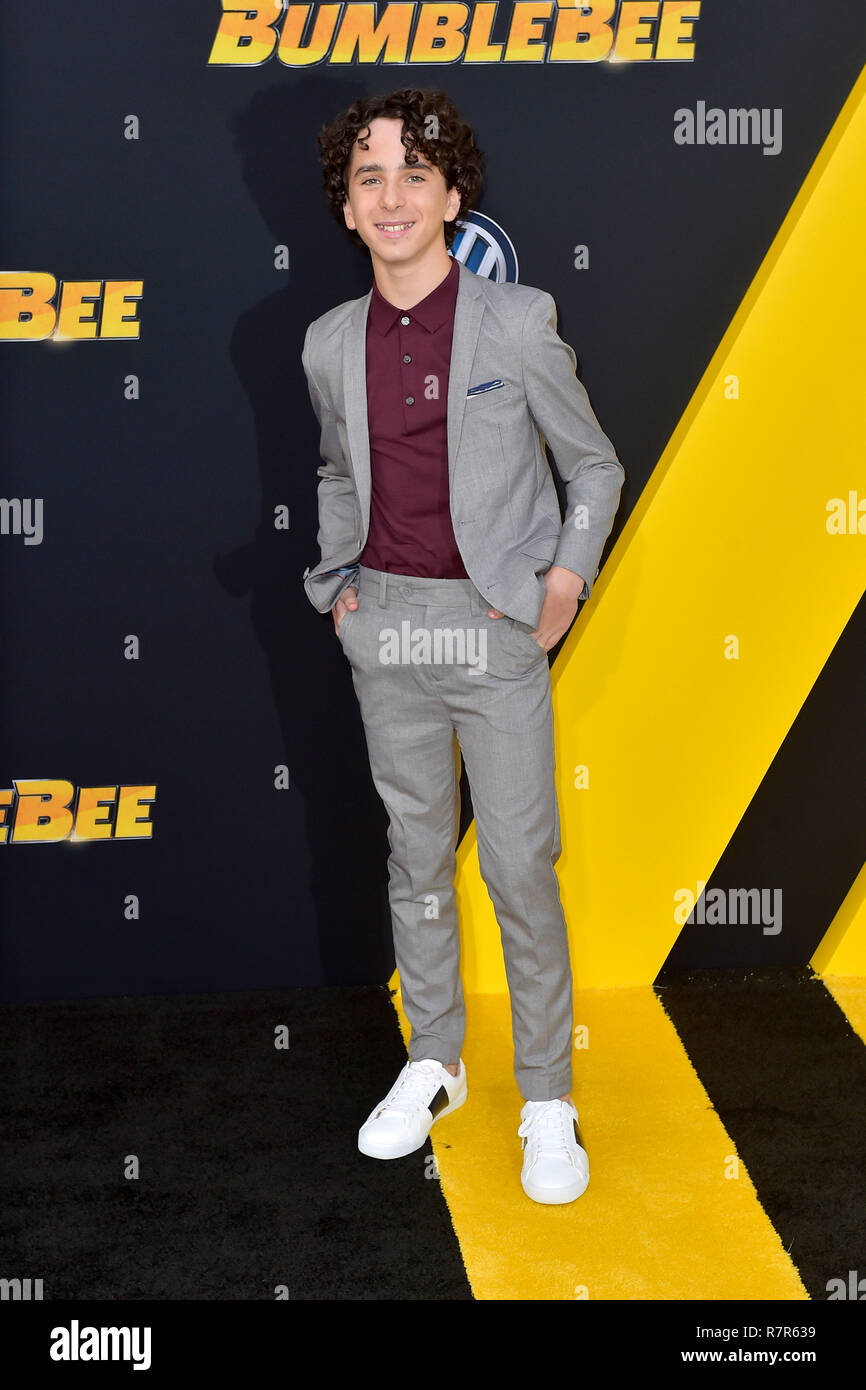 Jason Drucker at the world premiere of the movie 'Bumblebee' at the TCL ...