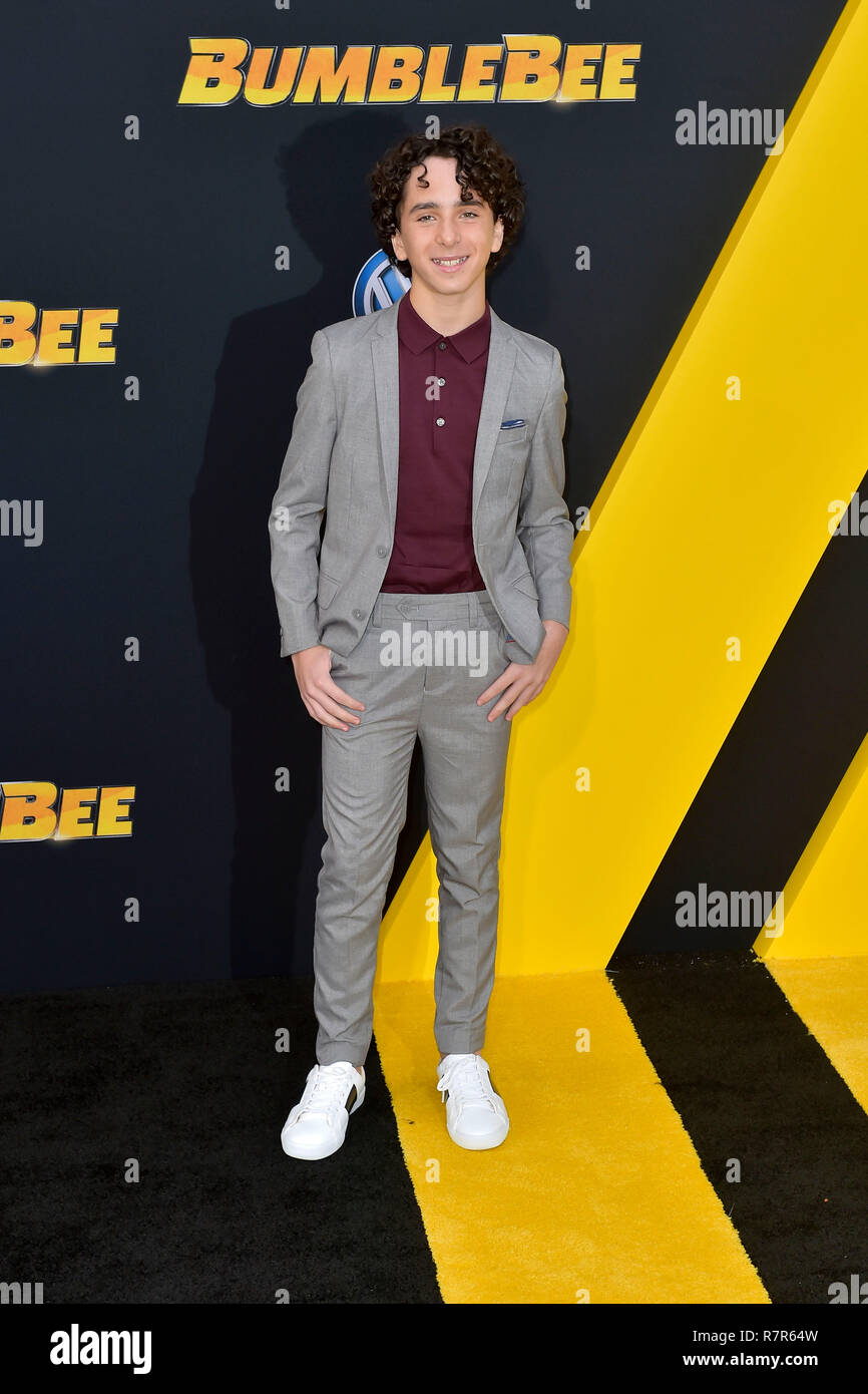 Jason Drucker at the world premiere of the movie 'Bumblebee' at the TCL ...