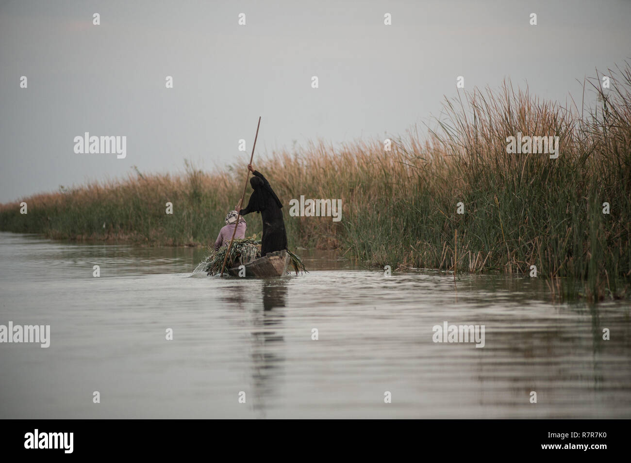 October 31, 2018 - Al-Chibayish, Marshes of Southern Iraq, Iraq - A ...