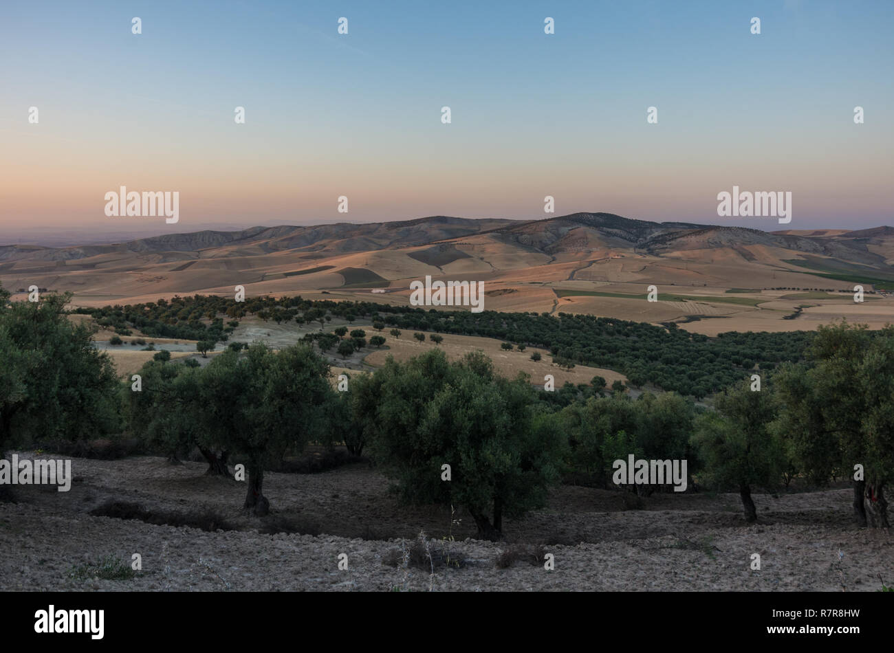 Meknes landscape hi-res stock photography and images - Alamy