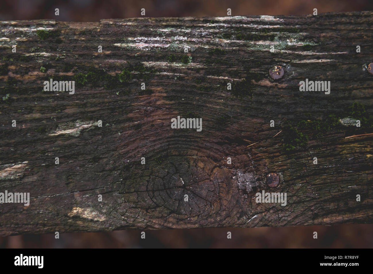 Hunter rail hi-res stock photography and images - Alamy