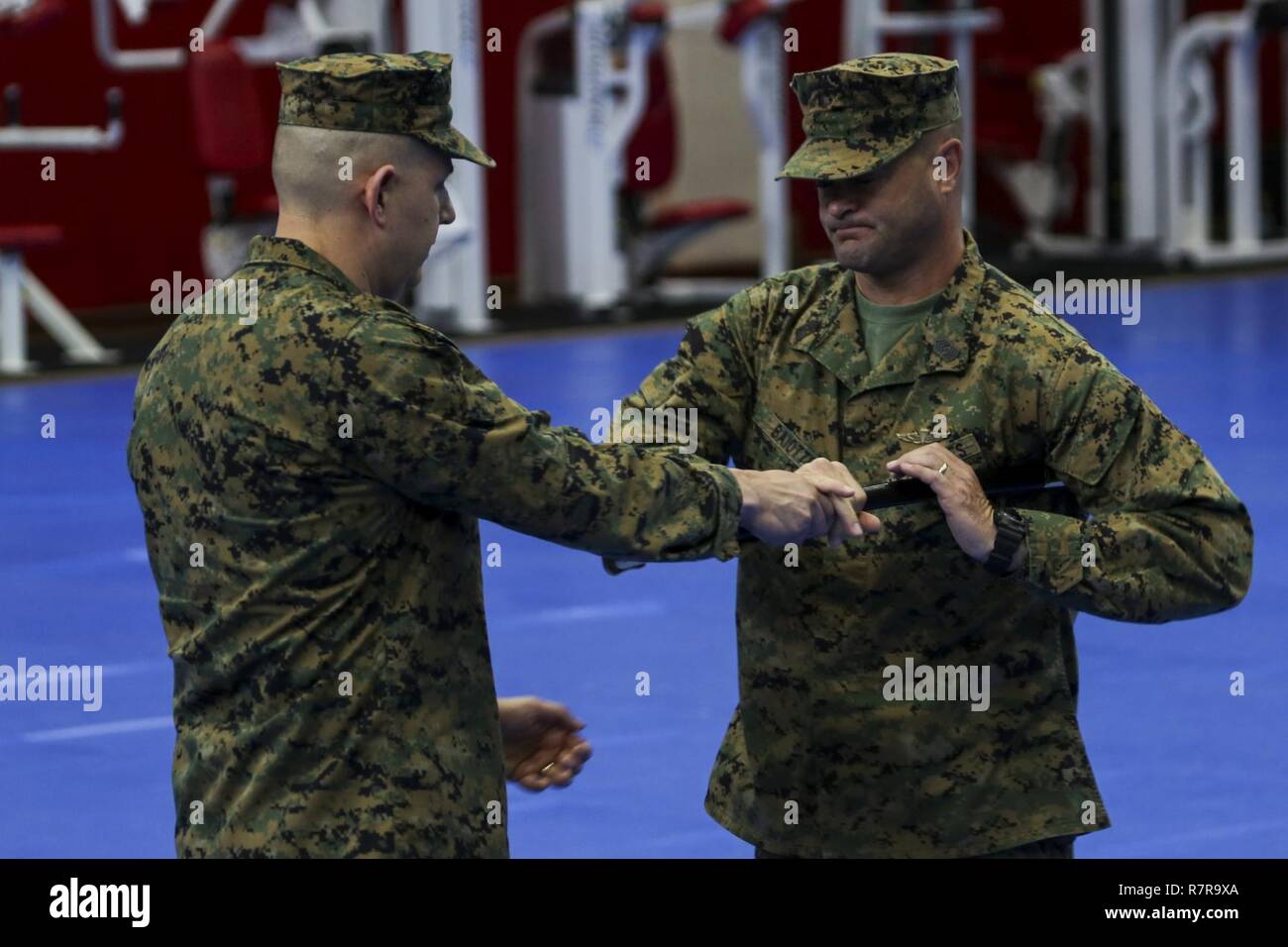 Japanese sergeant major hi-res stock photography and images - Alamy