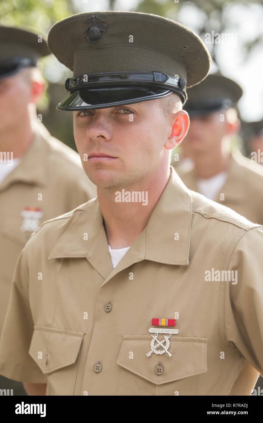 Elswick 2017 hi-res stock photography and images - Alamy