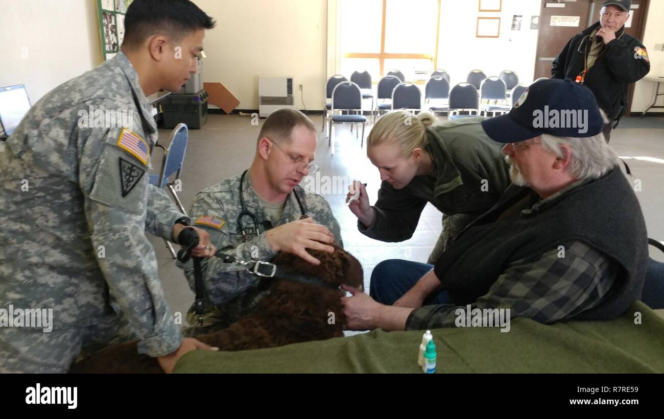 349th medical squadron hi-res stock photography and images - Alamy