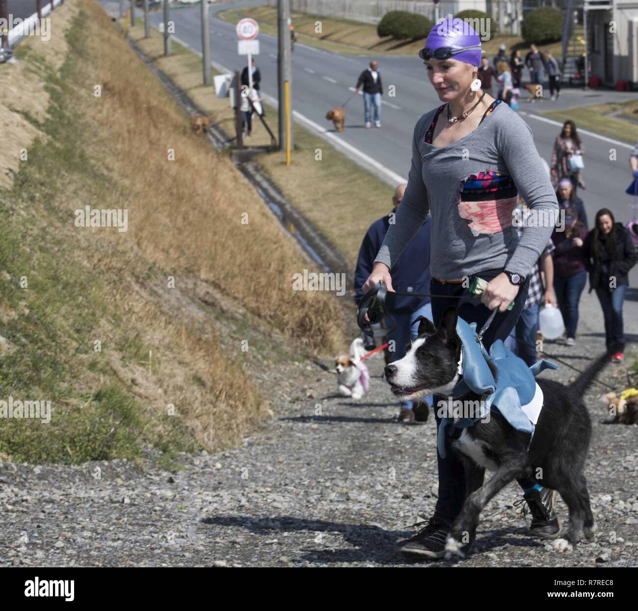 Dog relief station hi-res stock photography and images - Alamy