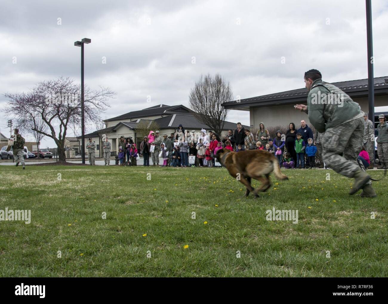 A security force K-9 unit with the 436th Security Forces Squadron ...