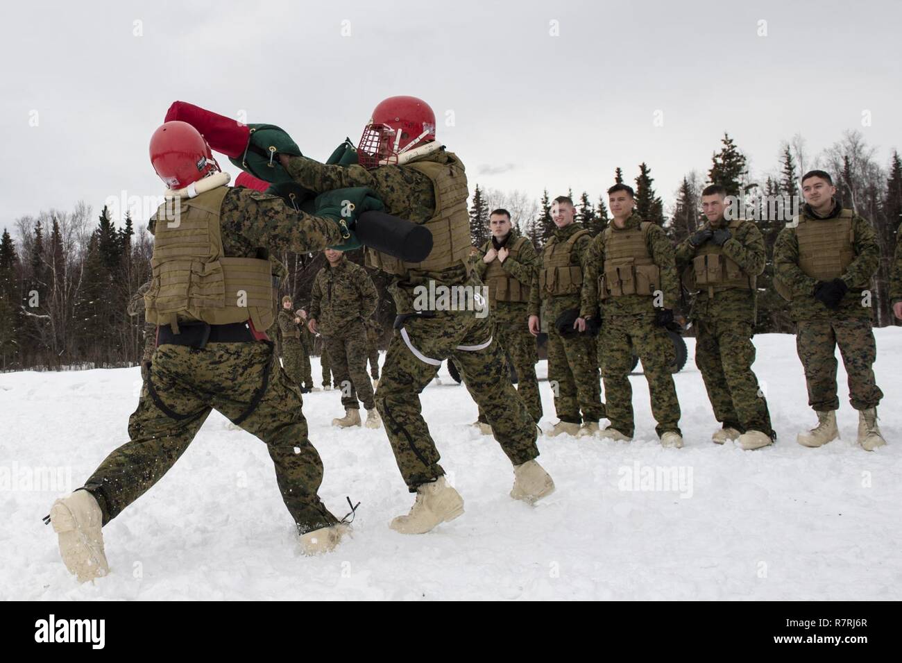 Pugil stick hi-res stock photography and images - Alamy