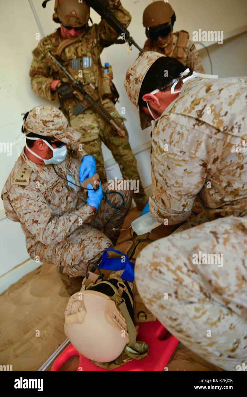 Elite special operations operations forces from Kuwait, Qatar, Kingdom ...