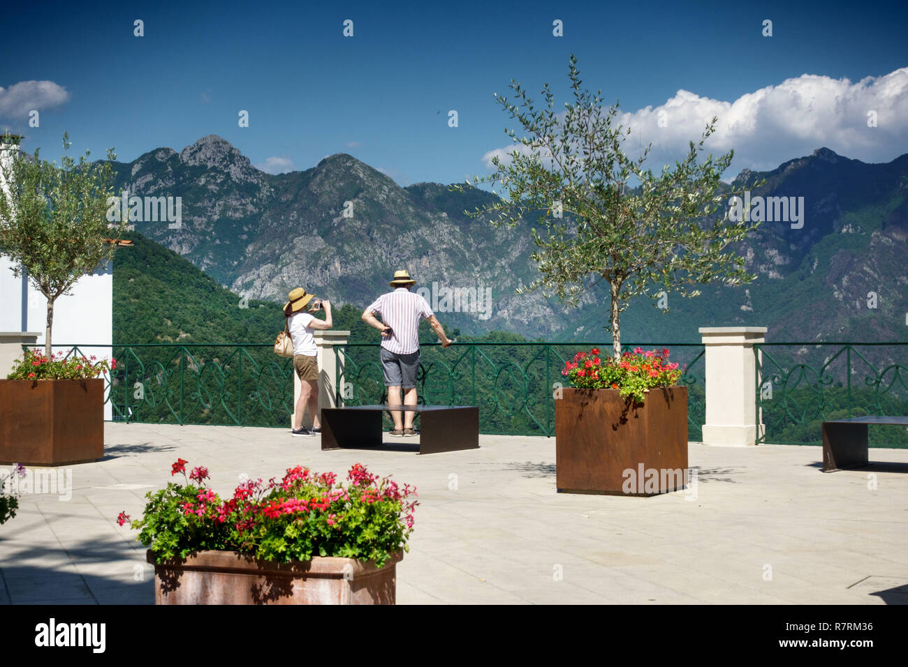 Plant growth observation hi-res stock photography and images - Alamy