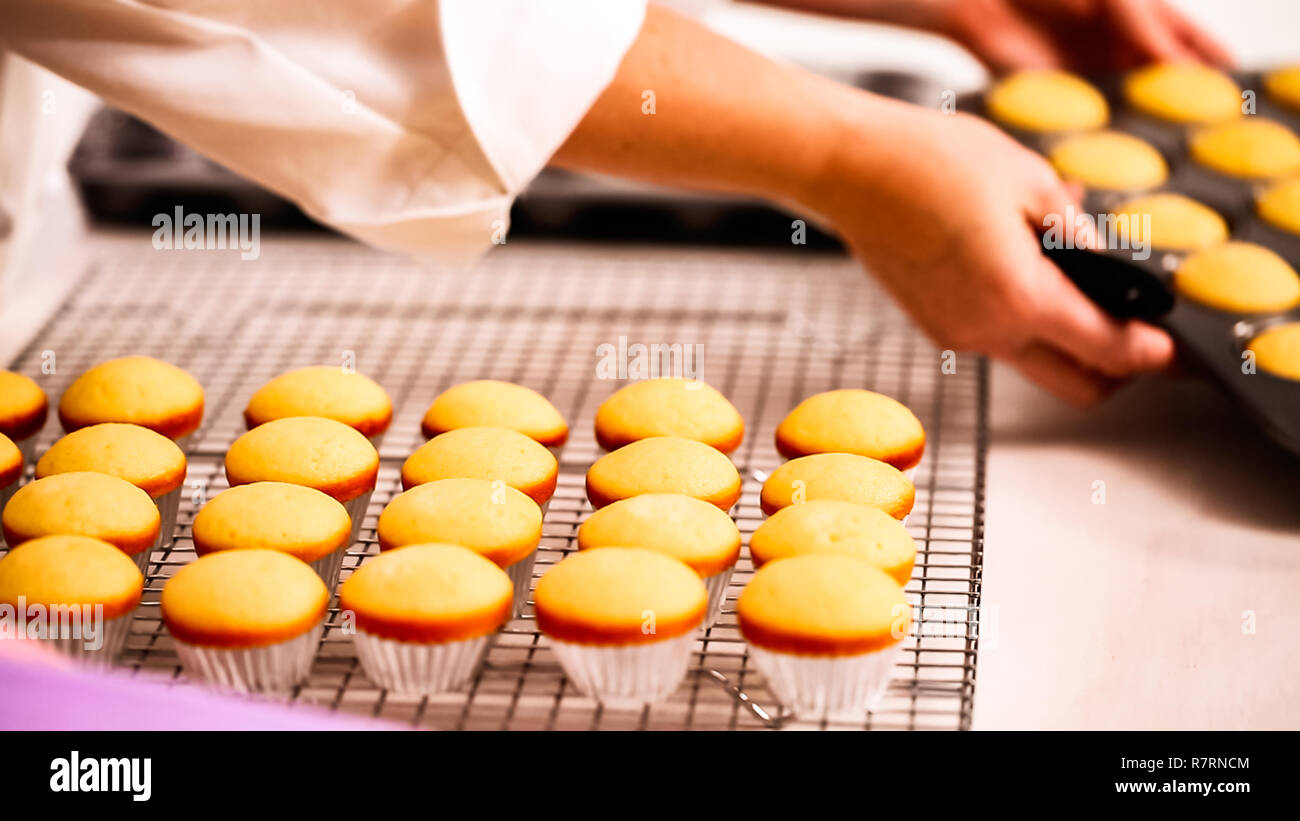 Freshly baked small vanilla cupcakes Stock Photo - Alamy