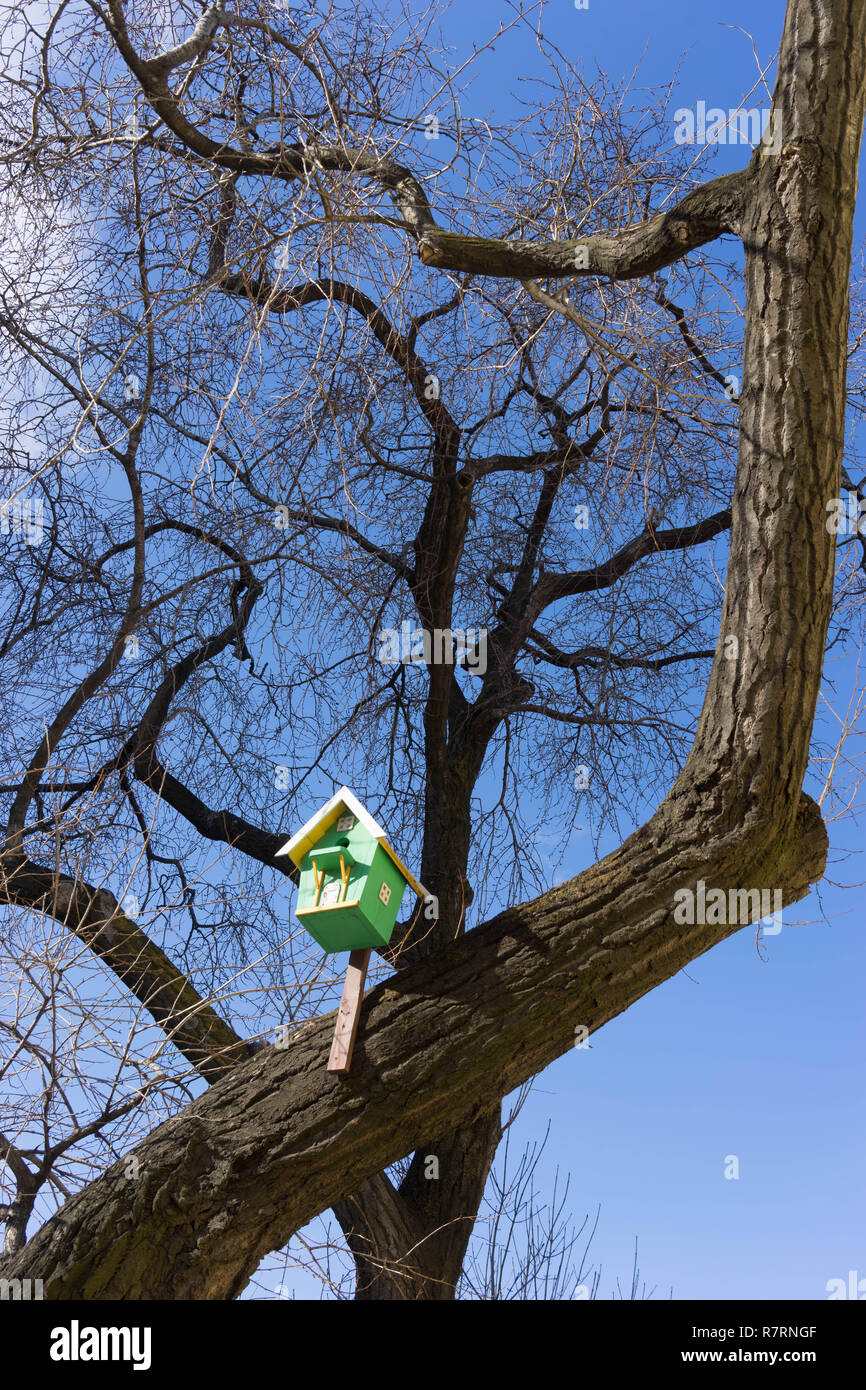 Urban landscape with bird houses on the background of trees without ...