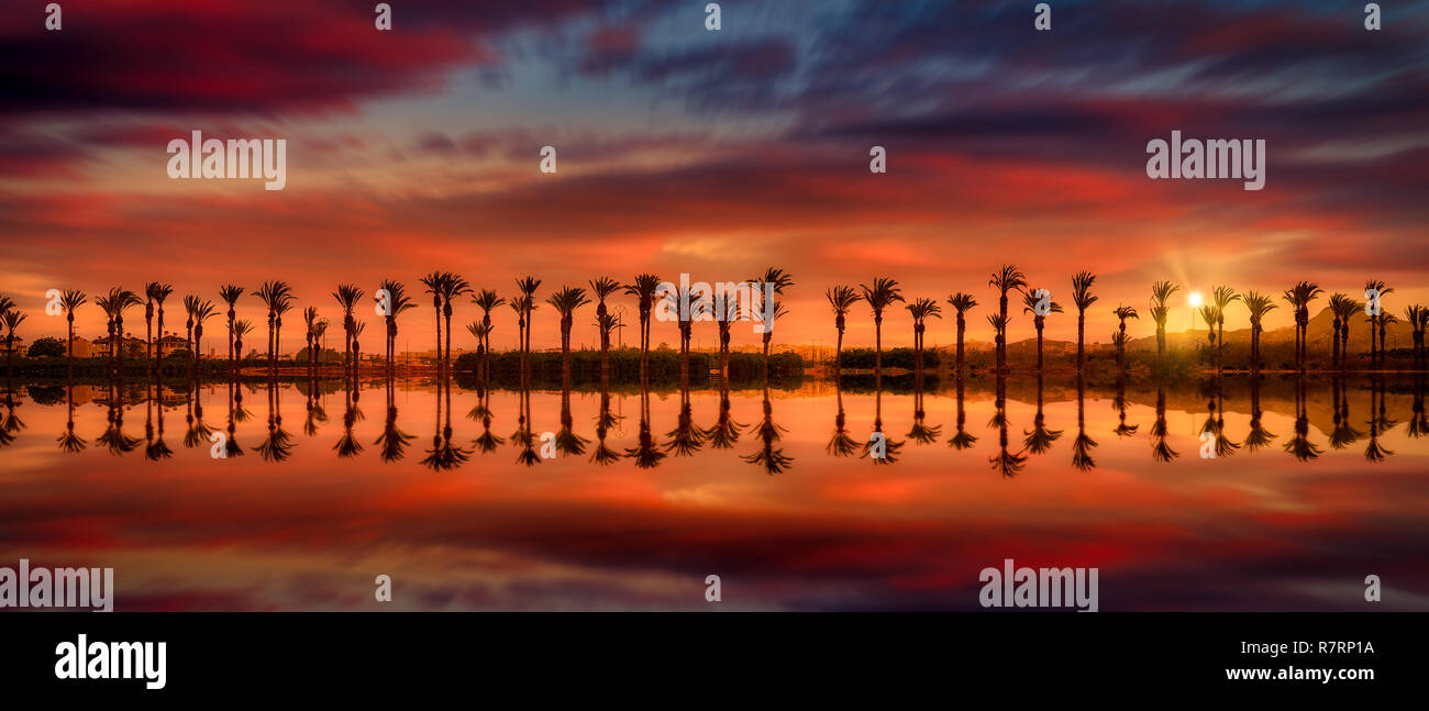 High resolution nature hi-res stock photography and images - Alamy