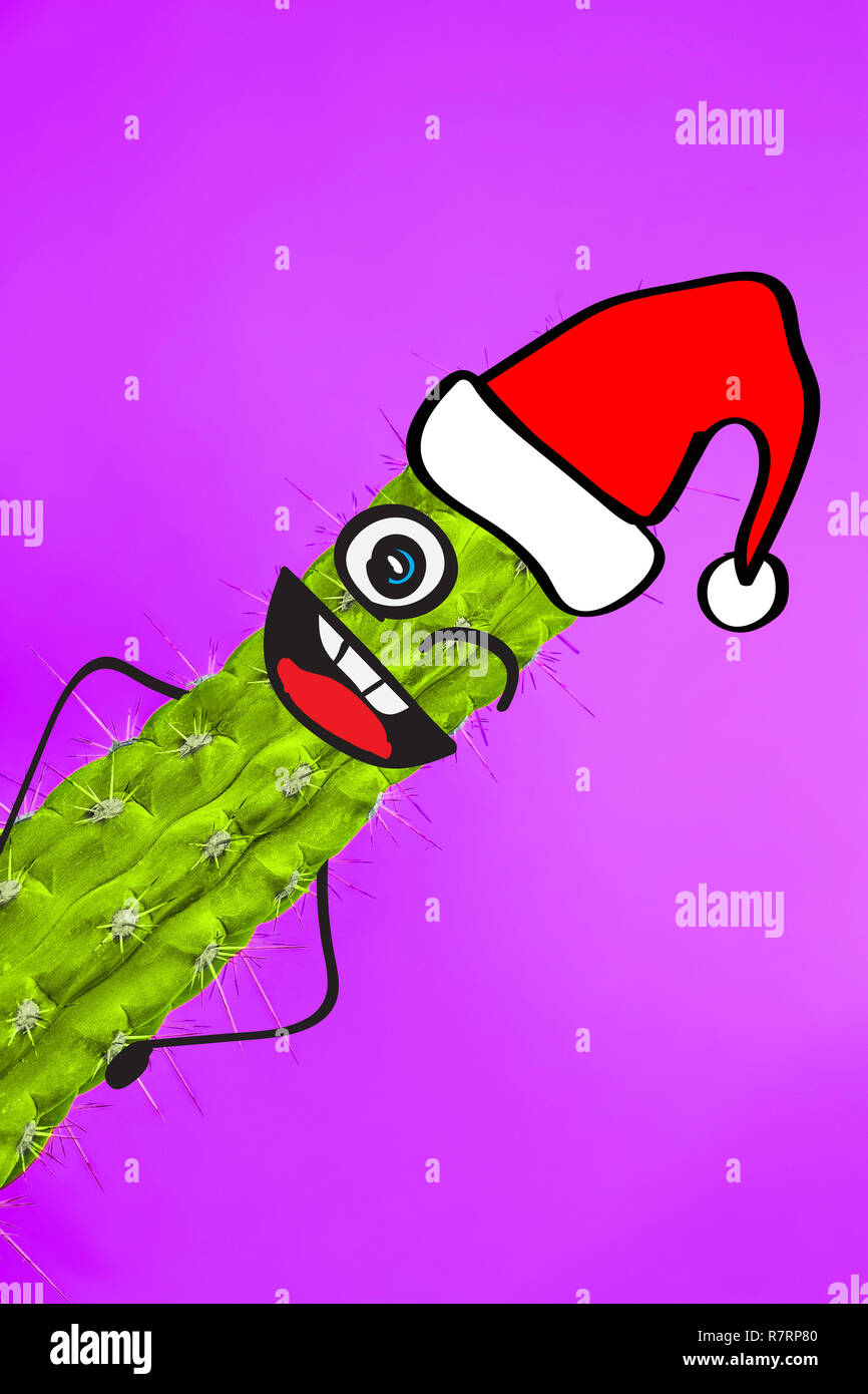 Cactus hipster man with santa hat. Tropical Christmas concept. Minimal ...