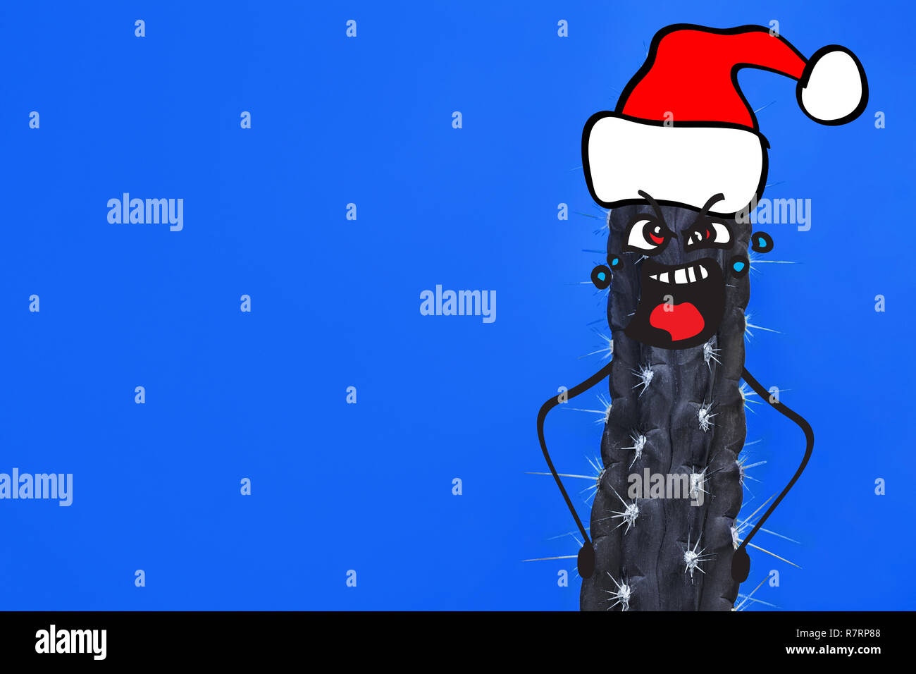 Cactus hipster man with santa hat. Tropical Christmas concept. Minimal ...