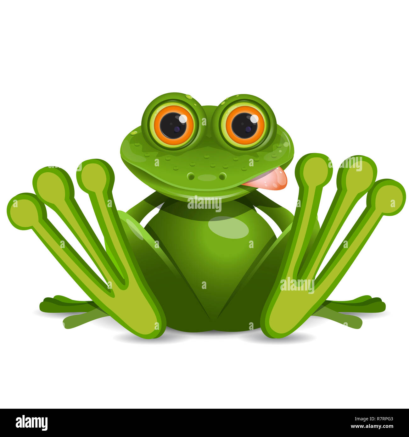 Stock Illustration Fat Frog on a White Background Stock Photo - Alamy