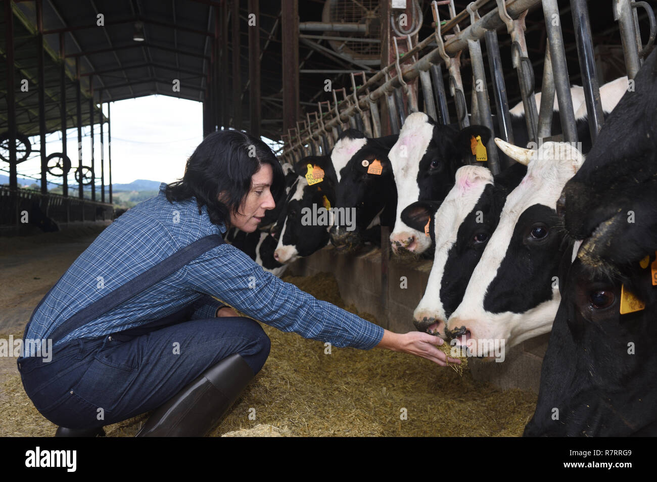 portrait of a farm woman Stock Photo - Alamy