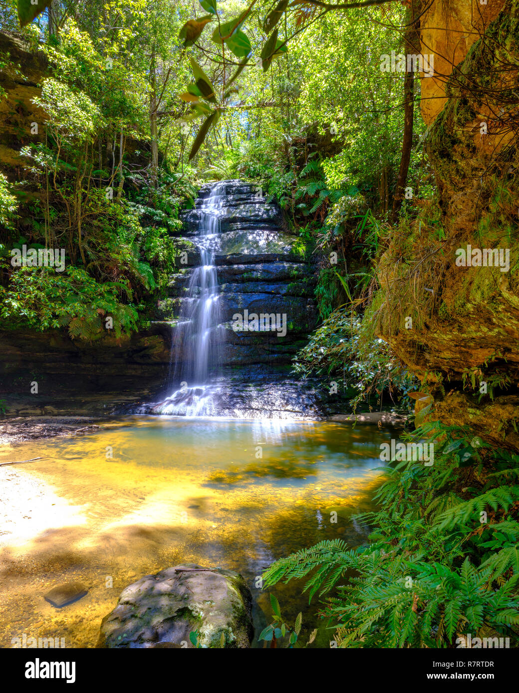 Gordon Falls in Leura, Blue Mountains National Park, NSW, Australia ...