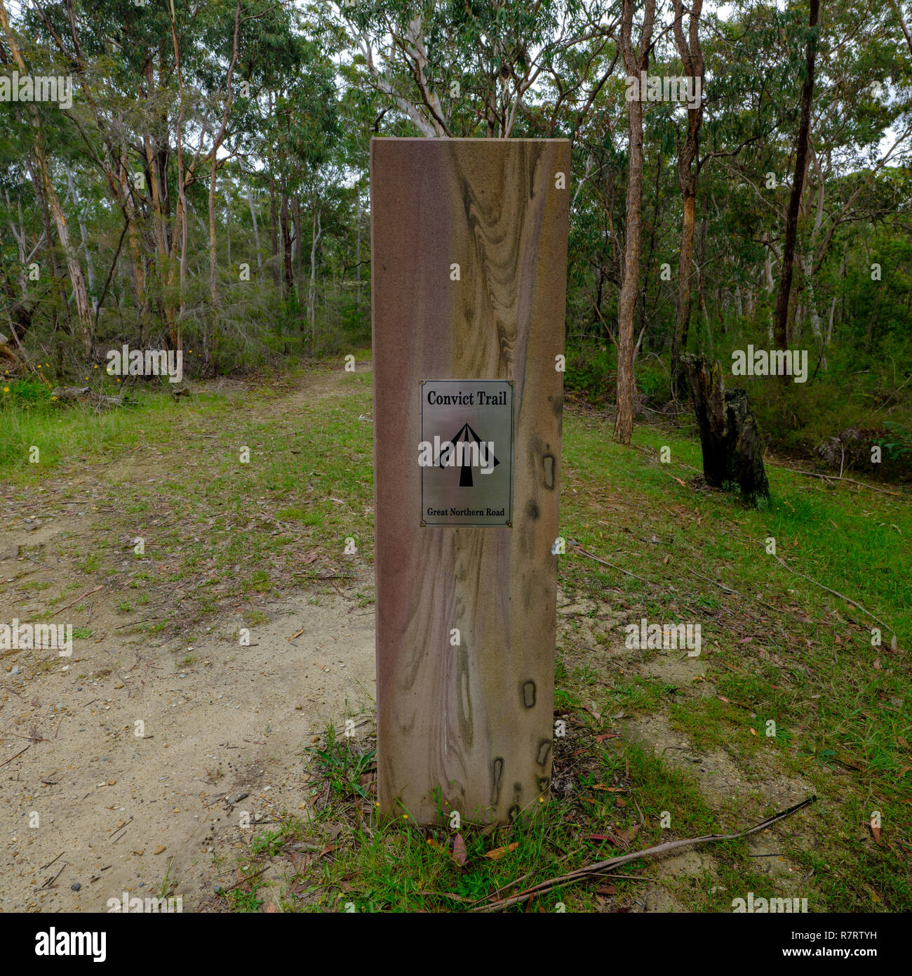 The Convict Trail or Great Northern Road near Bucketty, in the Hunter ...