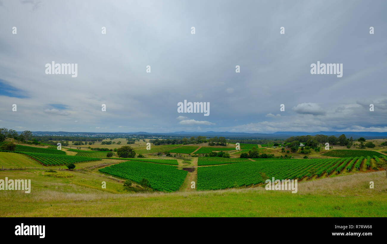 Hunter valley nsw australia hi-res stock photography and images - Alamy