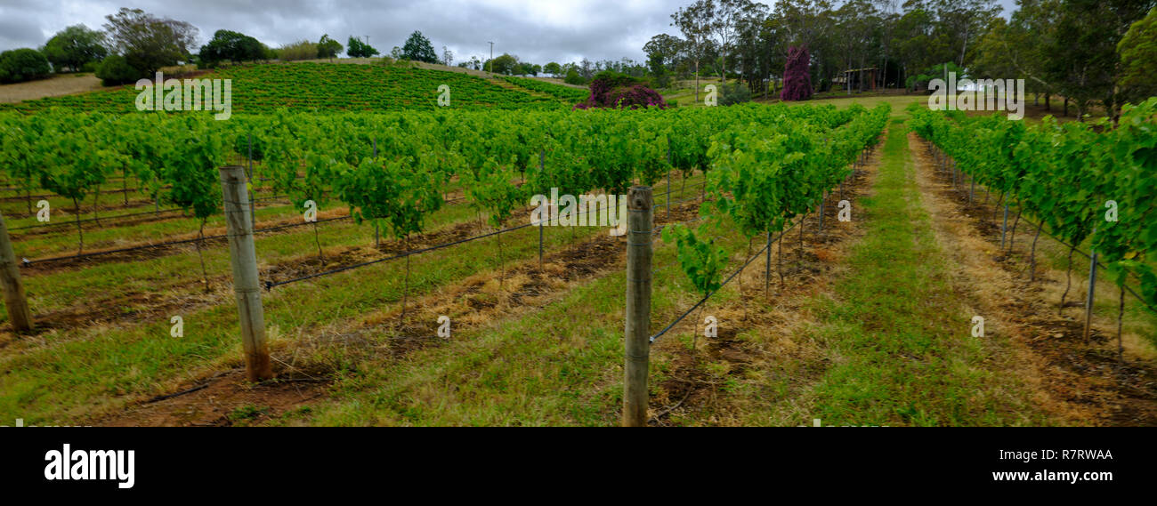 Hot air balloon the hunter valley hi-res stock photography and images ...