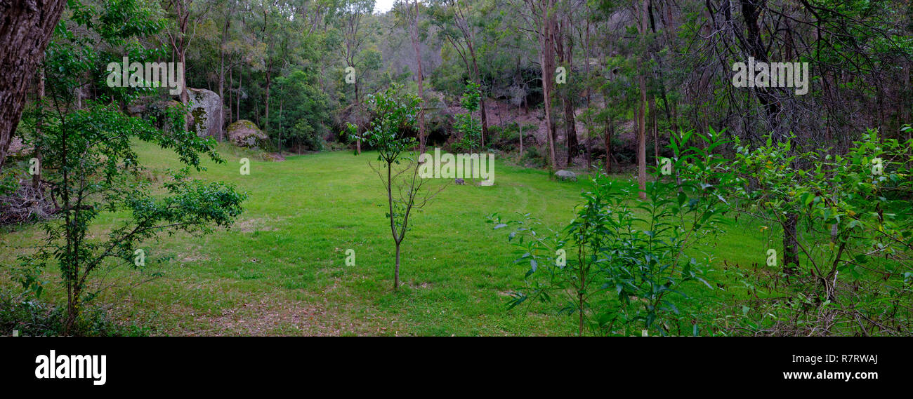 Views of vineyards in the Mount View area of the Hunter Valley, NSW ...
