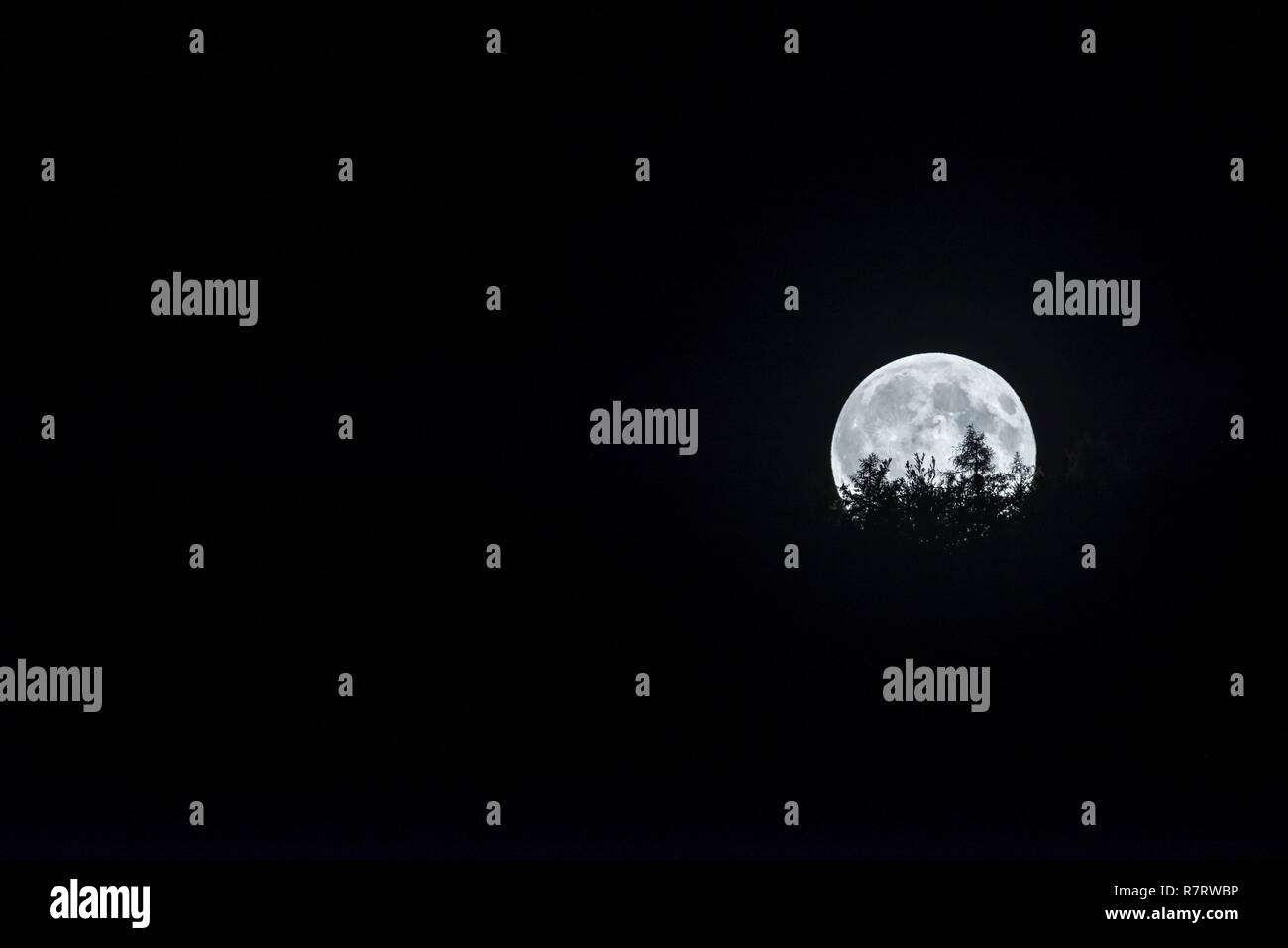 Earth trees satellite hi-res stock photography and images - Alamy