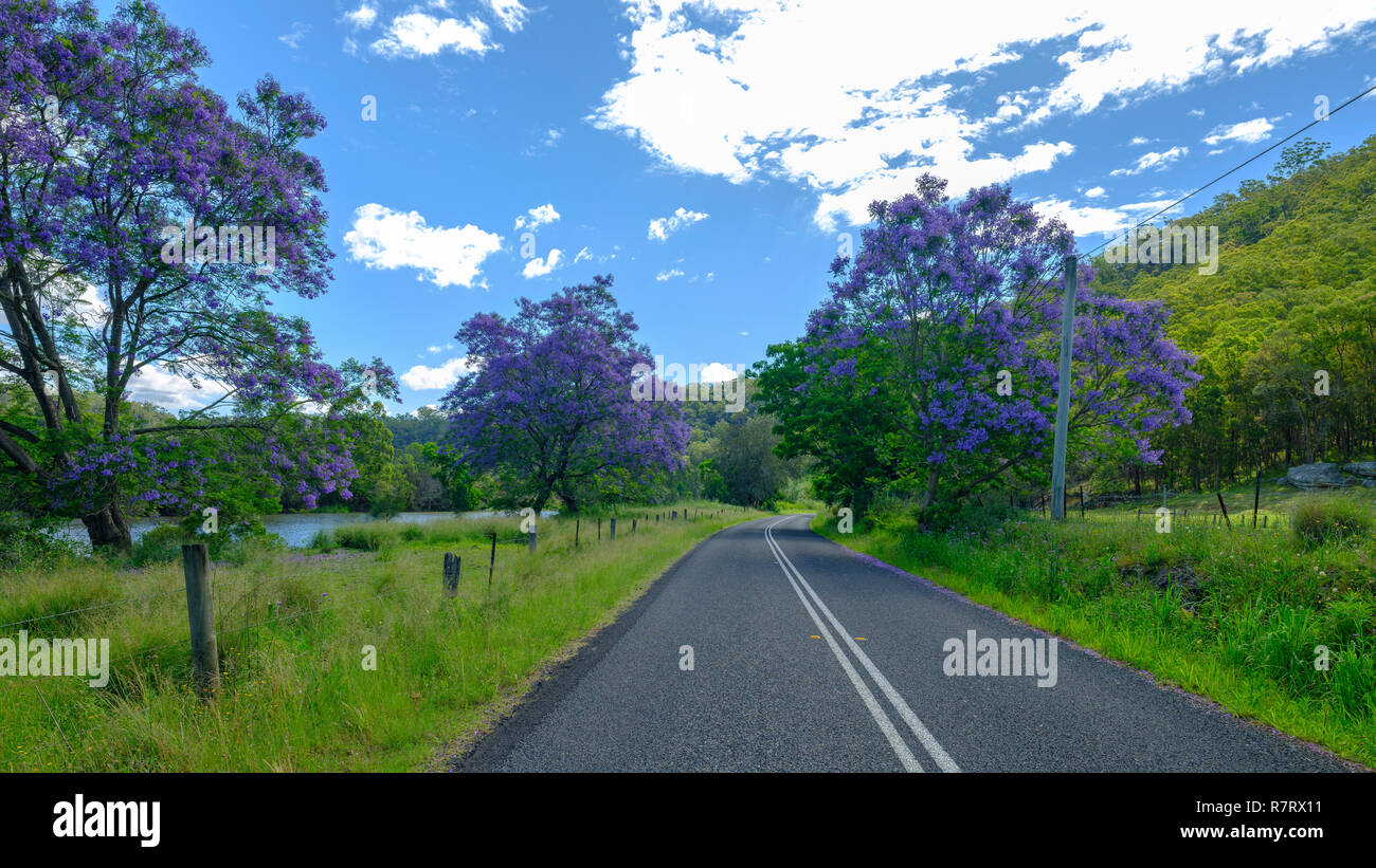 Views on the St Albans Road near Wisemans Ferry, Macdonald Valley, NSW ...