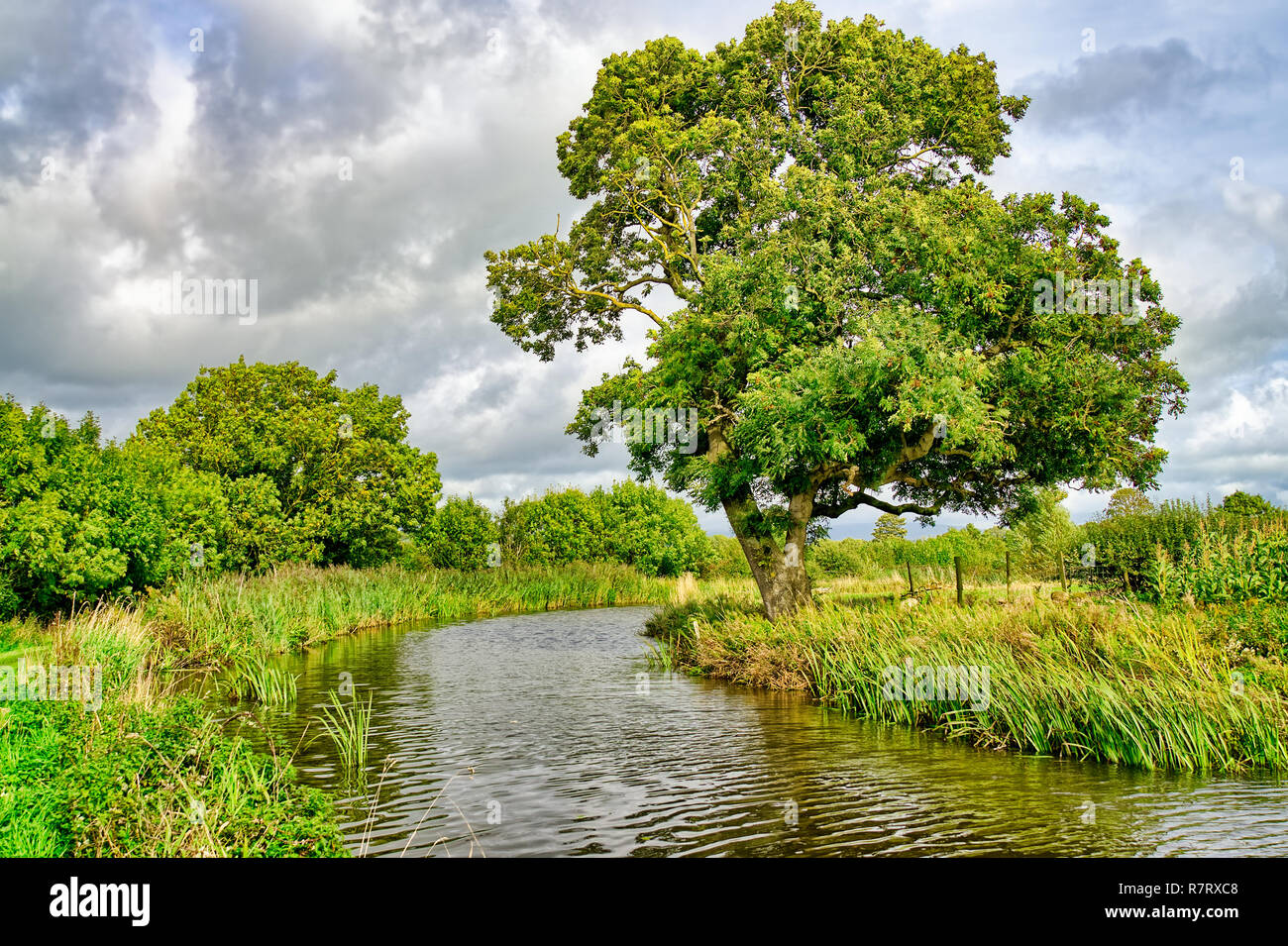 Typical english countryside hi-res stock photography and images - Alamy